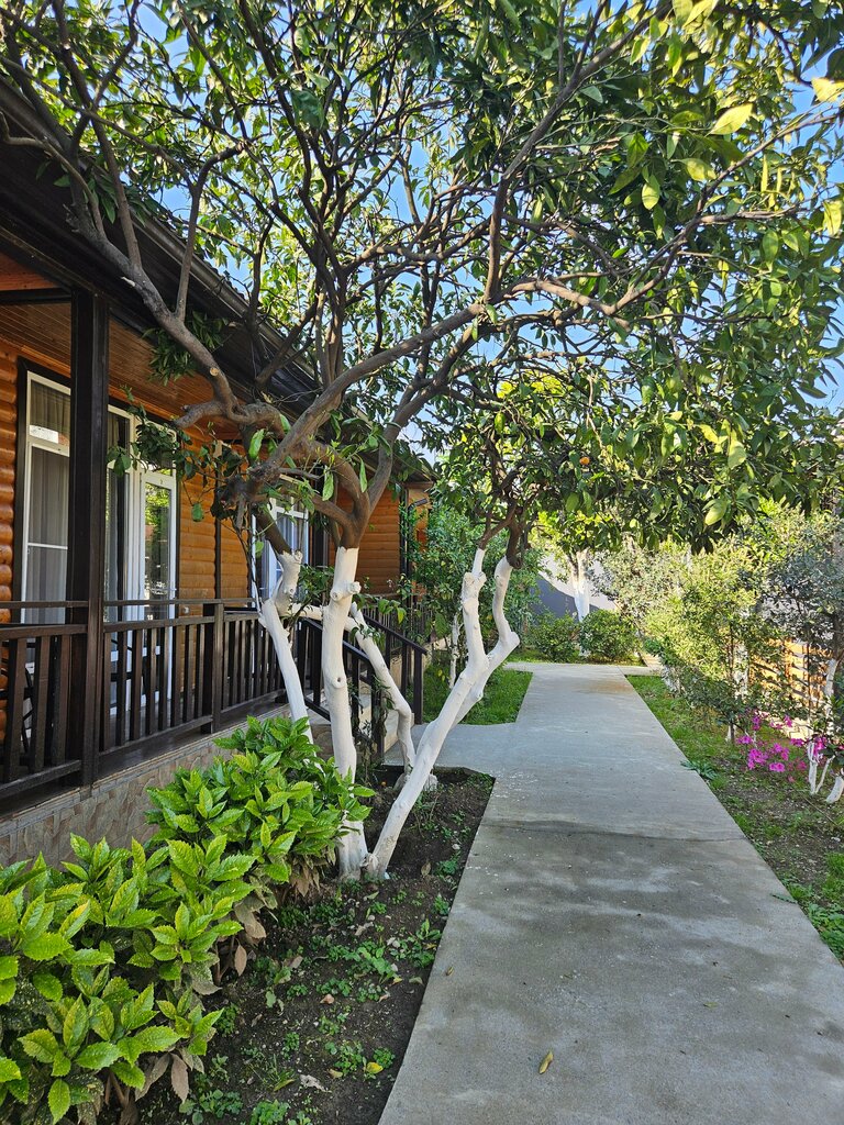 Otel Отдых у Евы, Gagra Bölgesi, foto