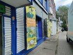 Мужской трикотаж (Vysotskogo Street No:4к1), ayakkabı mağazaları  Samara'dan