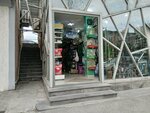 Pet store (Margaryan Street No:22/3), petshop  Erivan'dan