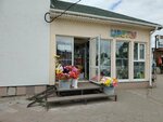 Цветы (Ashmarina Street No:59В), çiçekçiler  Cheboksary'den
