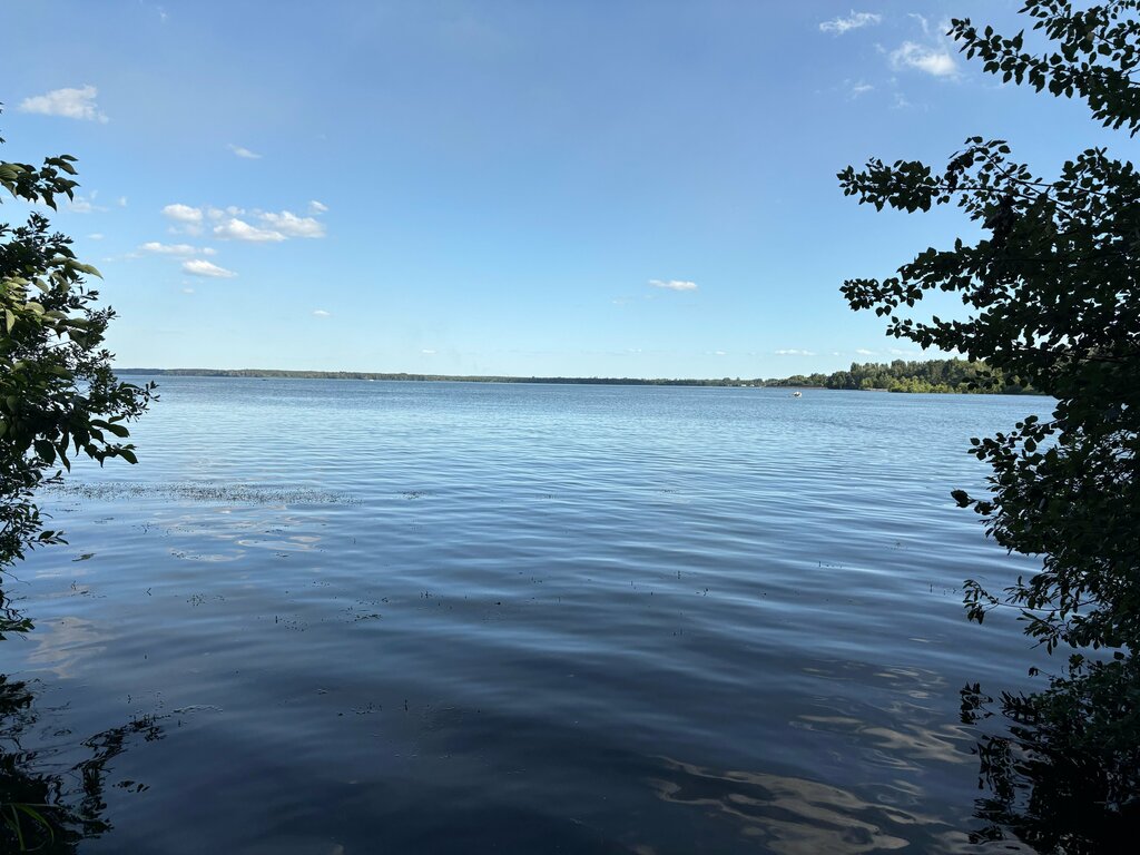 Plaj Пляж, Lipetskaya oblastı, foto