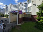 Умникум (ulitsa Doktora Sotnikova No:3, Yuzhniy Microdistrict), meslek kursları  Vsevolgsk'tan