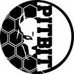 Pitbit (Shenogina Street No:4к1), bilişim firmaları  Moskova'dan