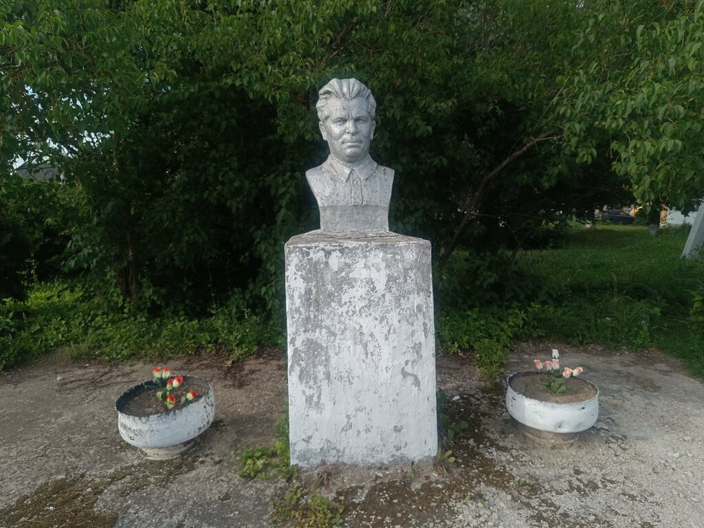 Anıt, heykel Бюст С.М. Кирова, Kalujskaya oblastı, foto