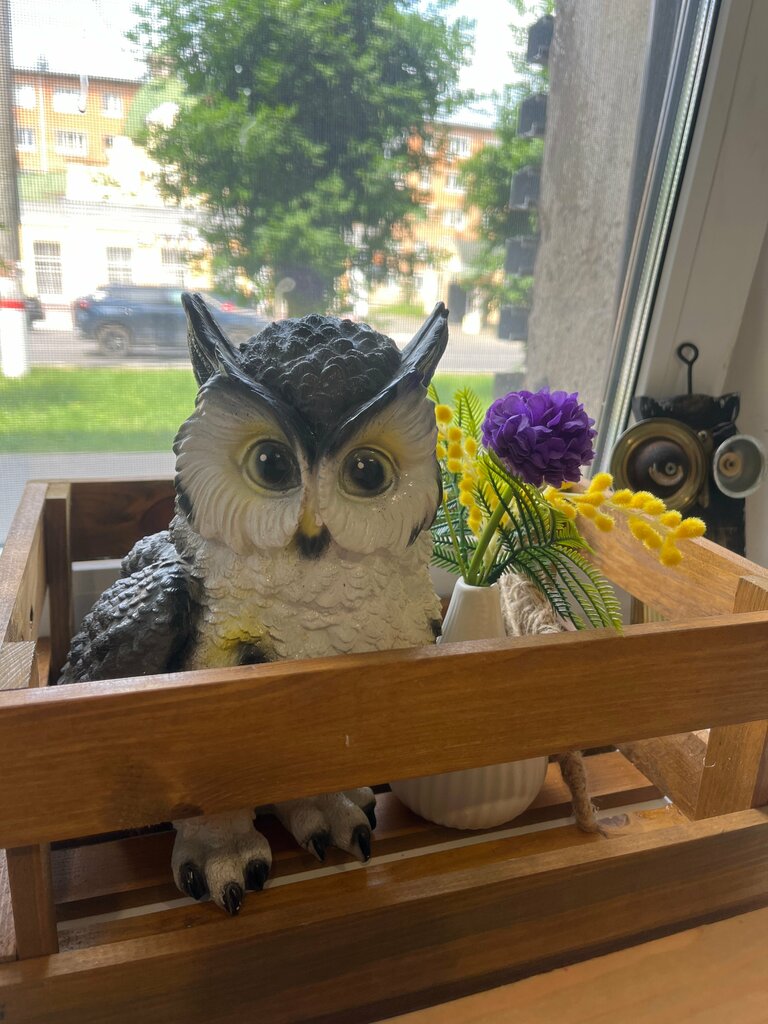 Kahve dükkanları Bodray sova, Pavlovski Posad, foto