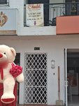 Floristeria Charlot (Valle del Cauca, Municipio de Santiago de Cali, Avenida Joaquin Borrero, 38-62), çiçekçiler  Cali'den