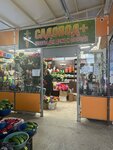 Садовод (Kiyevskaya ulitsa No:53), bahçecilik mağazaları  Balakovo'dan