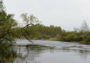 Станция Спас-Клепики Р.В.У.Ж.Д. (Ryazan Region, Spas-Klepiki), unutulmaz olayların yeri  Spas‑Klepiki'den