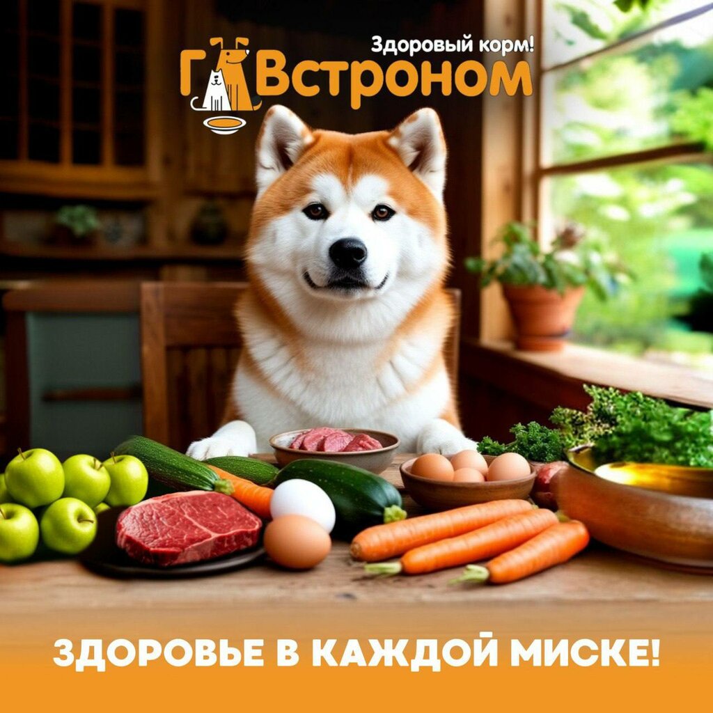 Petshop GAVstronom, Tiumen, foto