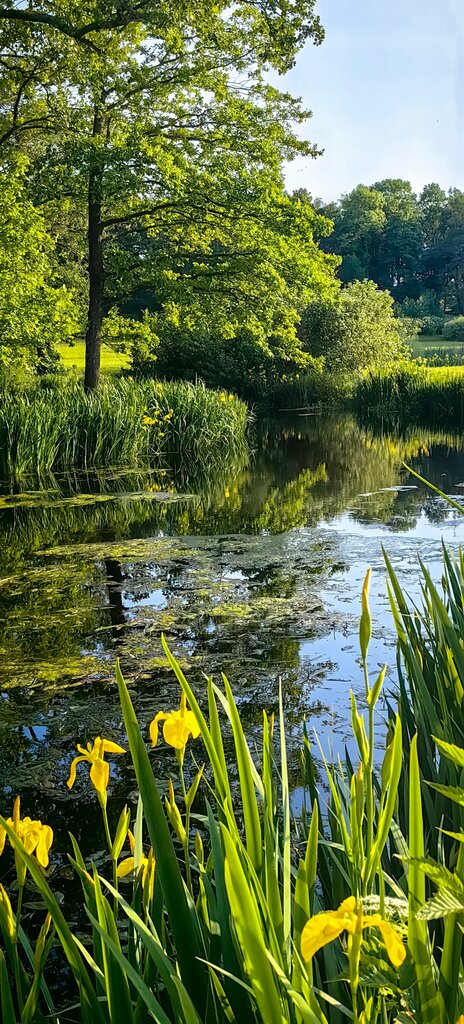 Şelale Водопад Хмелёвая веранда, Peterhof, foto