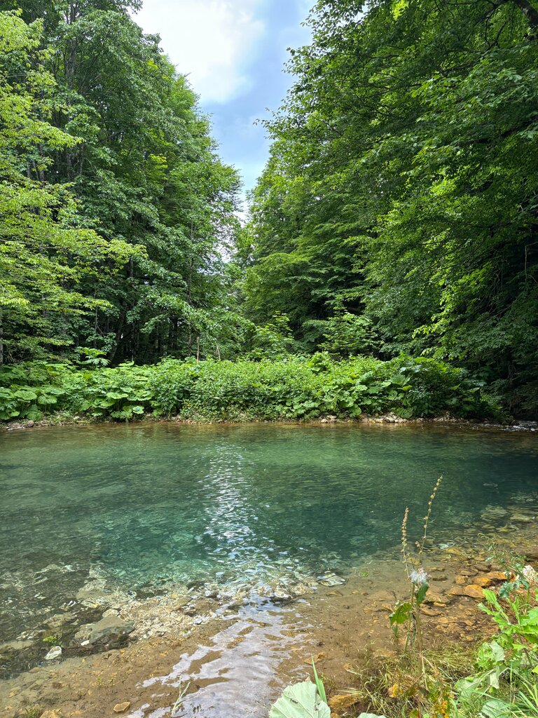 Pınar, çay Spring, stream, Adıge Cumhuriyeti, foto