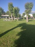 Queen's Park Le Jardin Hotel (Antalya, Kemer, Kiriş Mah., Sahil Cad., 7/2), market  Kemer'den