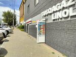 Wallpaper Store (Jeńis kóshesi No:52А), duvar kağıdı mağazaları  Kostanay'dan