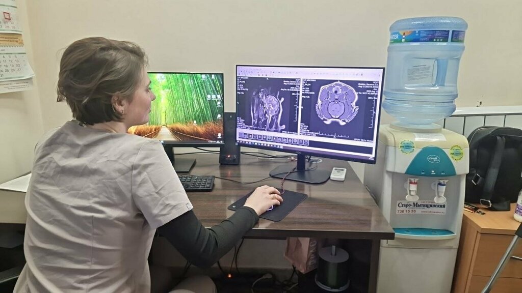 Veteriner klinikleri Mrt dlya jivotnih Vtsst, Moskova, foto