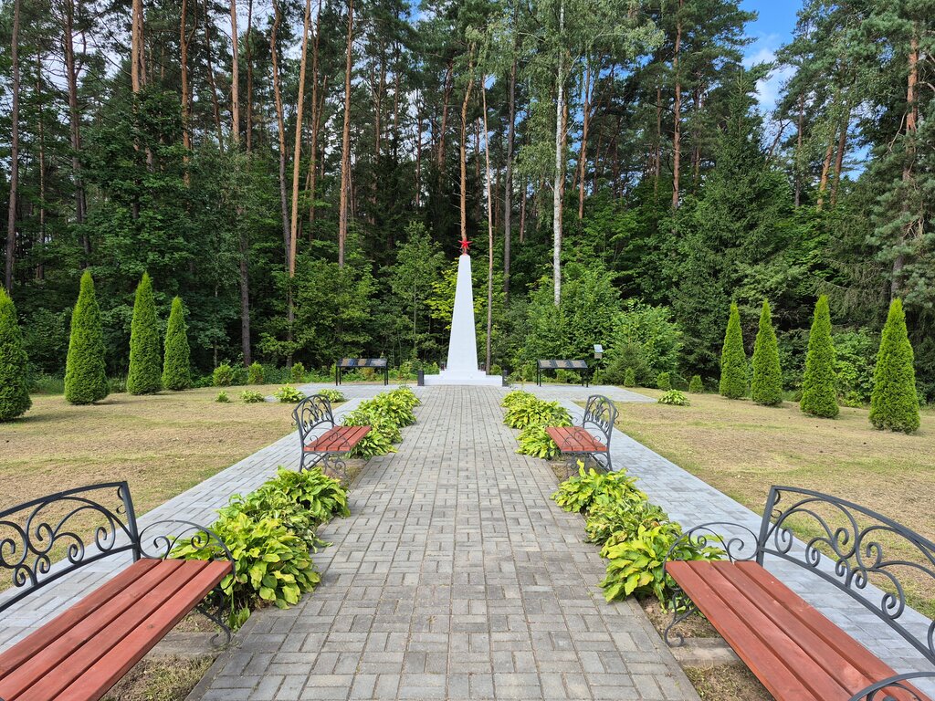 Anıt, heykel Советским воинам, Grodnenskaya oblastı, foto
