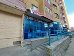Pushtik (Shákárim Qudaıberdiuly dańǵyly No:33), petshop  Astana'dan
