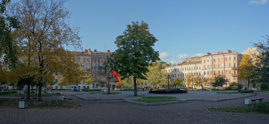 Belediyeler, devlet daireleri Department of Landscaping and Communal services of the Admiralteysky district, Saint‑Petersburg, foto