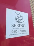Spring (Krasnogo Znameni Avenue No:82В), reklam ajansları  Vladivostok'tan