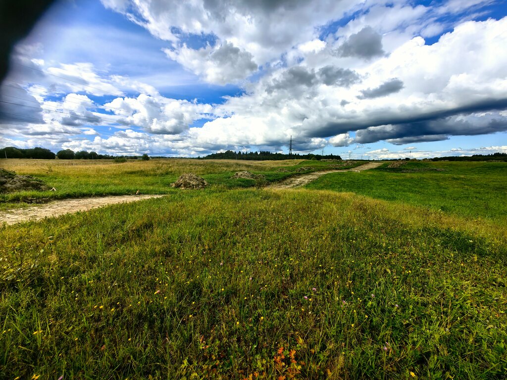 Yazlık yerleşim Дружная поляна, Saint‑Petersburg ve Leningradskaya oblastı, foto