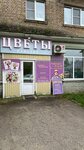 Камелия (ulitsa Zoi Kosmodemyanskoy No:4), çiçekçiler  Sosnogorsk'tan