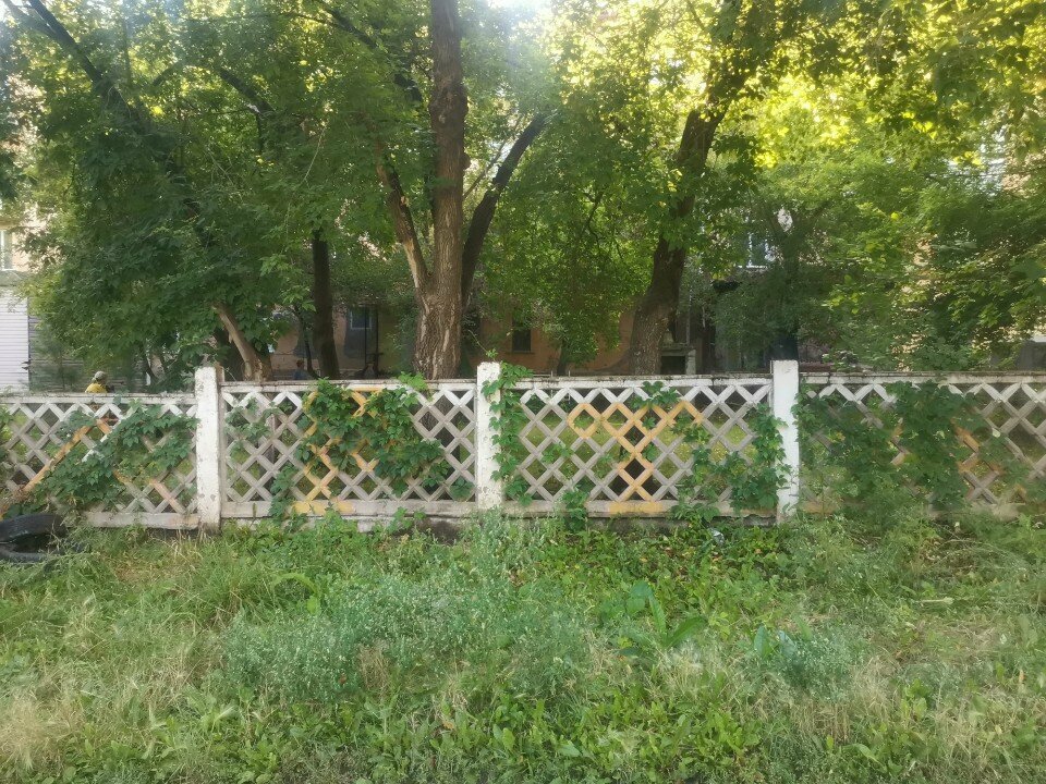 Sivil toplum kuruluşları Ktos Neftyannik, Omsk, foto