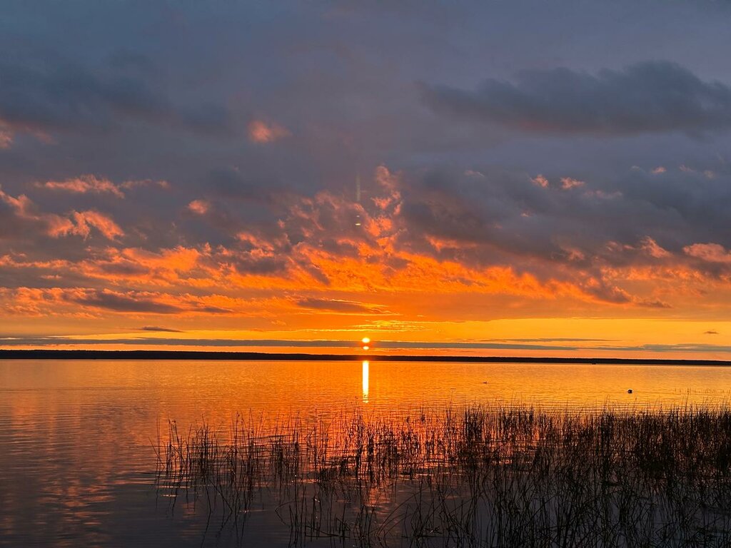 Çardak Gazebo, Yaroslavskaya oblastı, foto