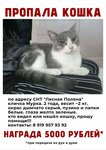 Лесная поляна (Tyumen, sadovodcheskoye nekommercheskoye tovarishchestvo Lesnaya Polyana, Gribnaya ulitsa), bahçecilik dernekleri ve kuruluşları  Tiumen'den