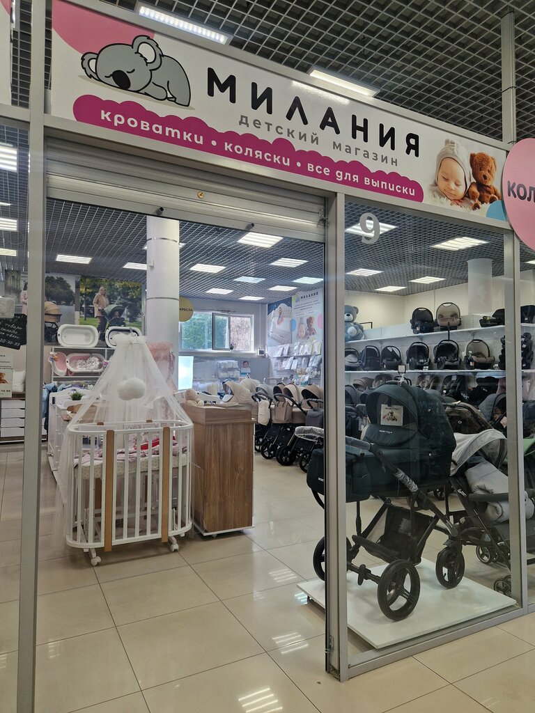 Çocuk arabası Milania, Vladimir, foto