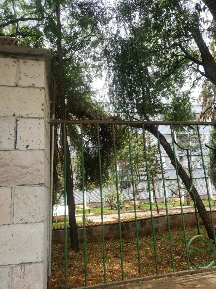 Üniversiteler AA University 5 kilo Campus, Addis Ababa, foto