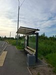 Волхонское шоссе, 62 (St. Petersburg, Petrodvortsoviy District, Strelna Settlement, Volkhonskoe Highway), toplu taşıma durağı  Saint‑Petersburg'dan
