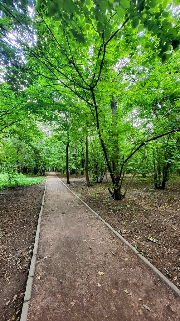 Doğa koruma alanı Oak Forest Nature Monument in Vorontsov Park, Moskova, foto