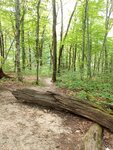 Spring, stream (Krasnodar Territory, Goryachiy Klyuch, mikrorayon Kurortnaya Zona), pınar, çay  Goriaçi Kliuç'tan