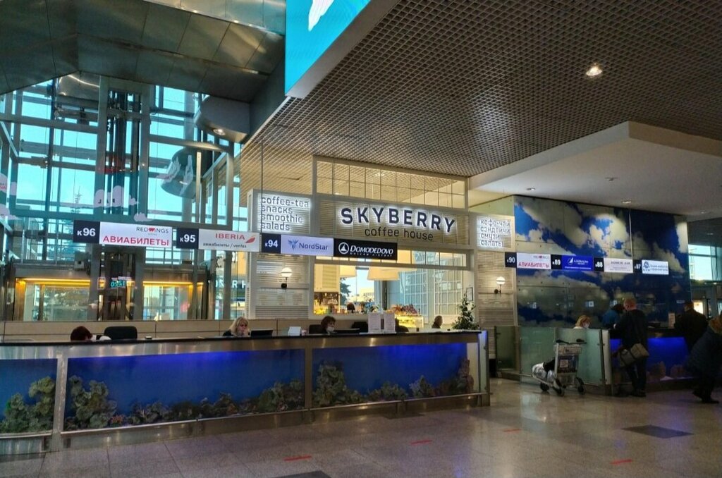 Kahve dükkanları Skyberry, Moskova ve Moskovskaya oblastı, foto