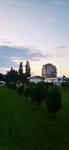 Otdel Zags Gorispolkoma (Nabiarežnaja vulica No:13), evlendirme daireleri  Novolukoml'dan