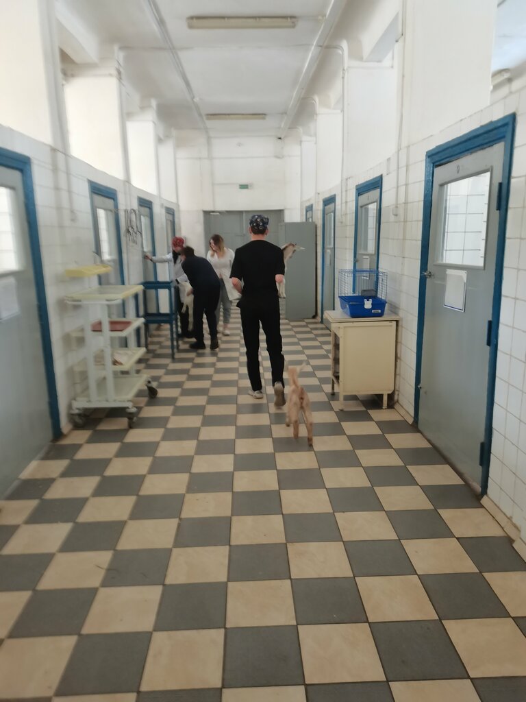 Yurtlar Общежитие № 8 Вгавм, Vitebsk, foto