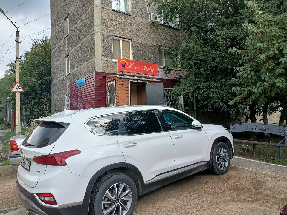 Veteriner klinikleri Zoo Pulse, Kostanay, foto