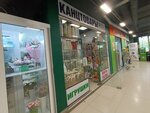 Канцтовары (Michurina Street No:138), kırtasiyeler  Samara'dan