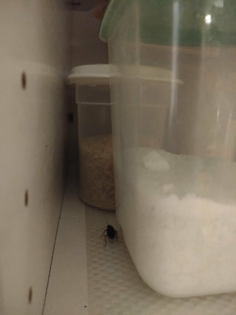 Haşere ilaçlama firmaları ГорСЭС, Ufa, foto