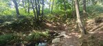 Spring, stream (Primorye Territory, Nakhodka), pınar, çay  Nahodka'dan