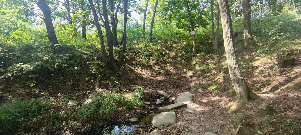 Pınar, çay Spring, stream, Nahodka, foto