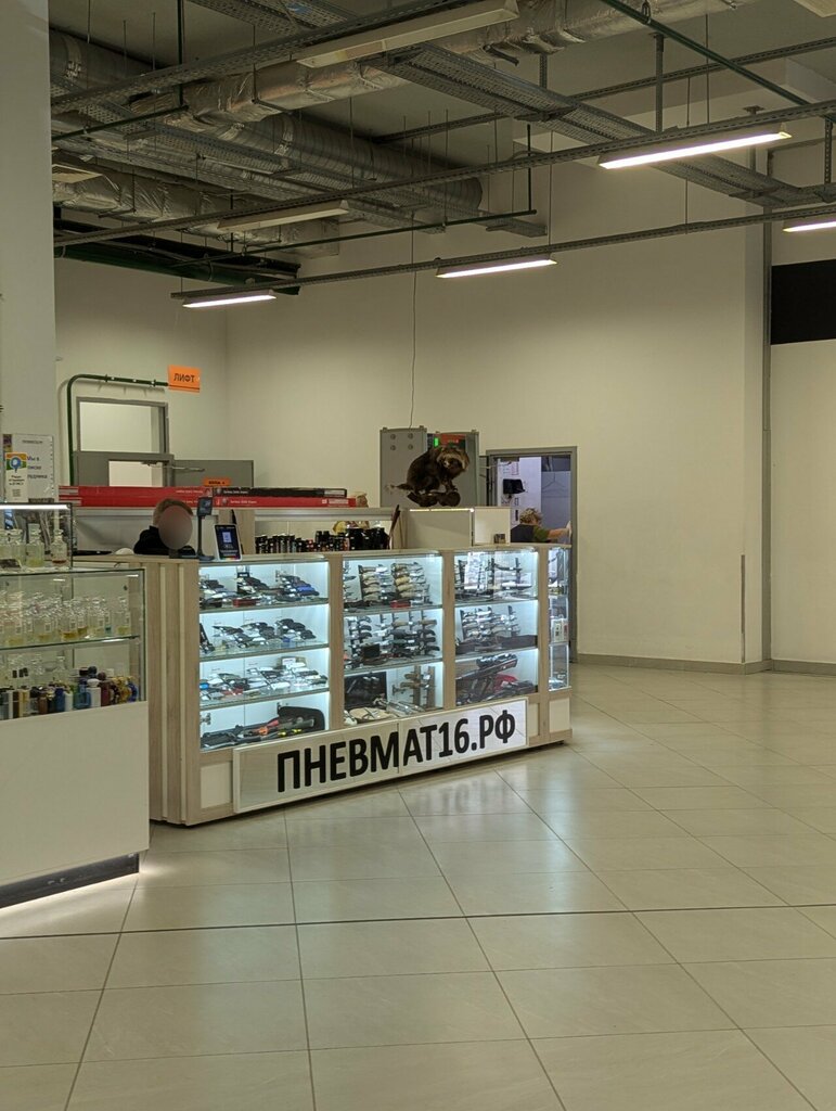 Silah ve koruma ürünleri Pnevmat16. rf, Kazan, foto