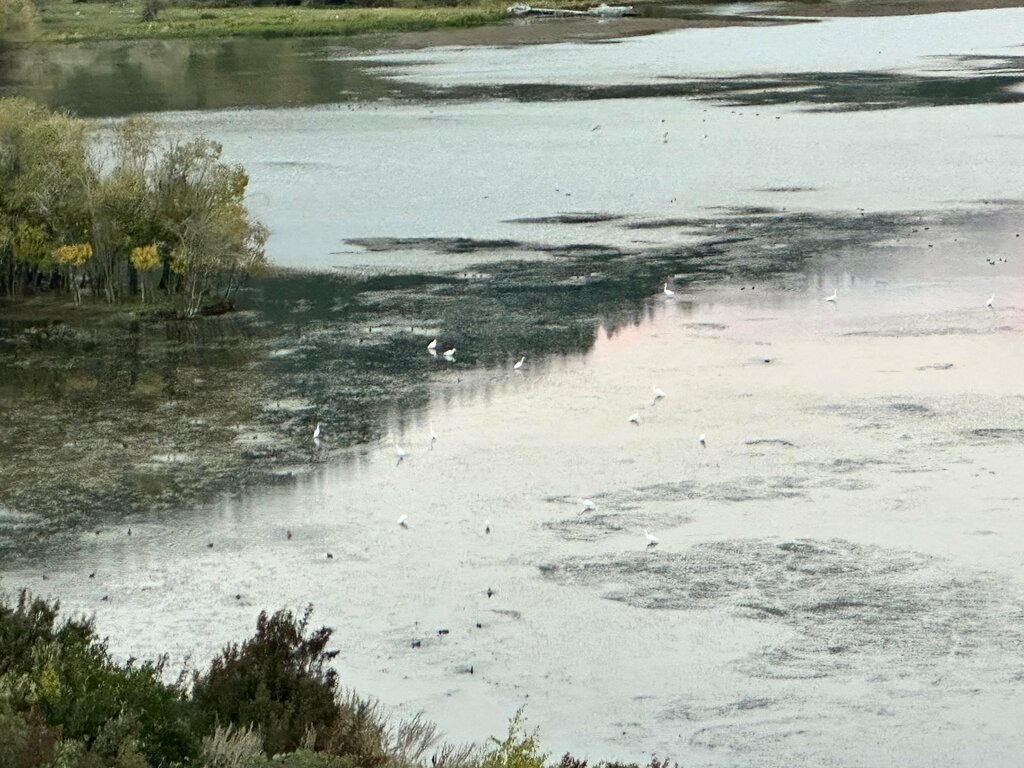 Hidrometeoroloji Urunkhayka Meteorological Station, Doğu Kazakistan eyaleti, foto