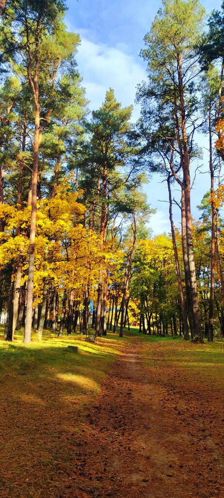 Kültür ve eğlence parkları парк Воропаево, Vitebskaya oblastı, foto