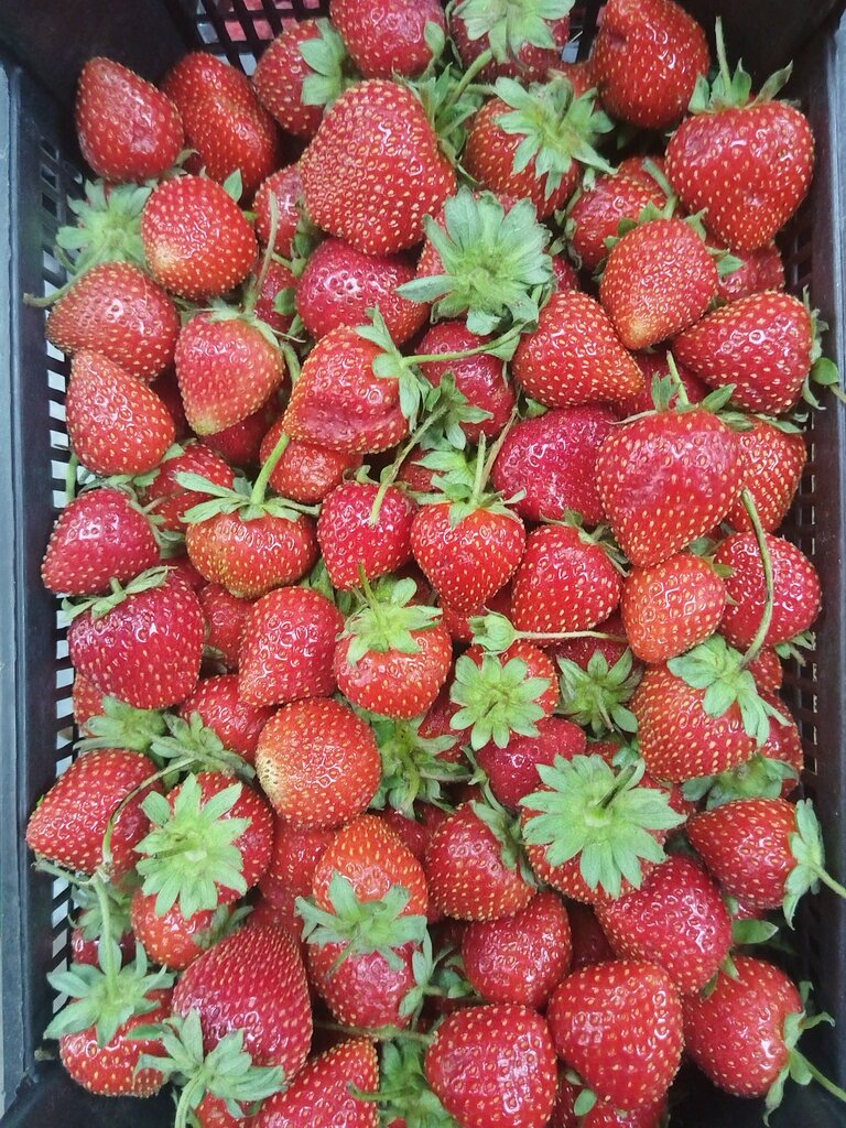 Market Цветочный магазин, Rostov‑na‑Donu, foto