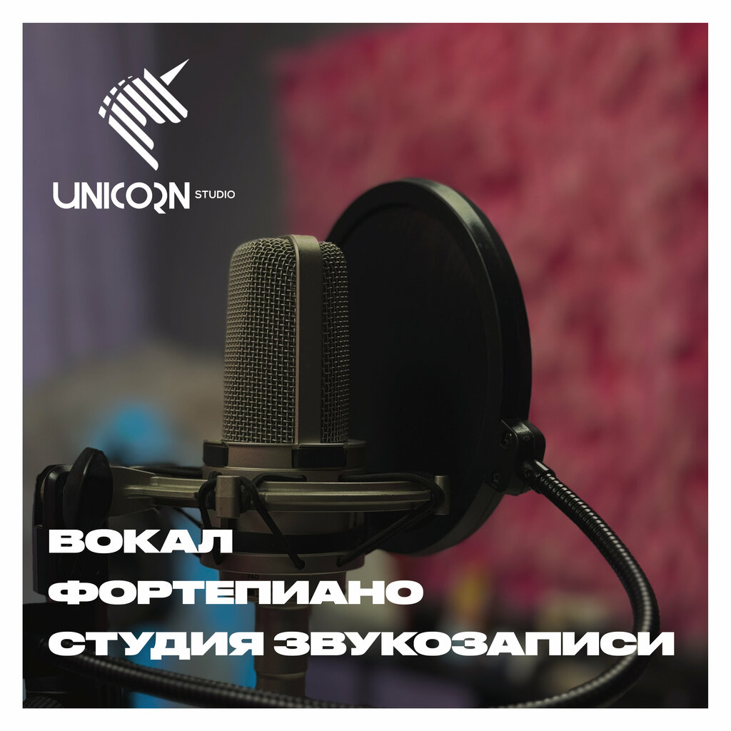 Ses kayıt stüdyoları Unicorn Studio, Stavropol, foto