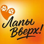 Лапы Вверх! (2nd Nagatinsky Drive No:2/2к2), evcil hayvan kuaförleri  Moskova'dan