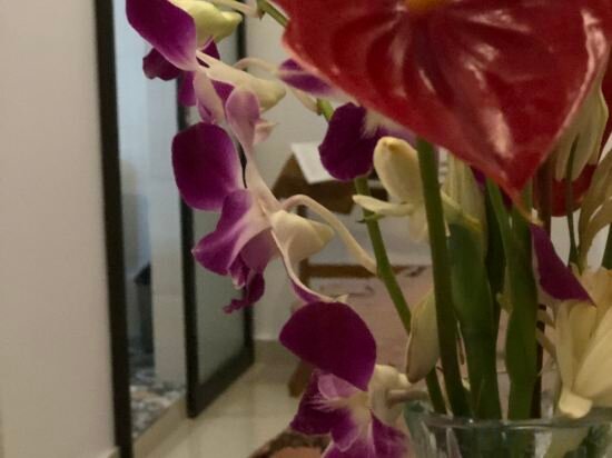 Otel The Hidden Bali Inn, Bali, foto