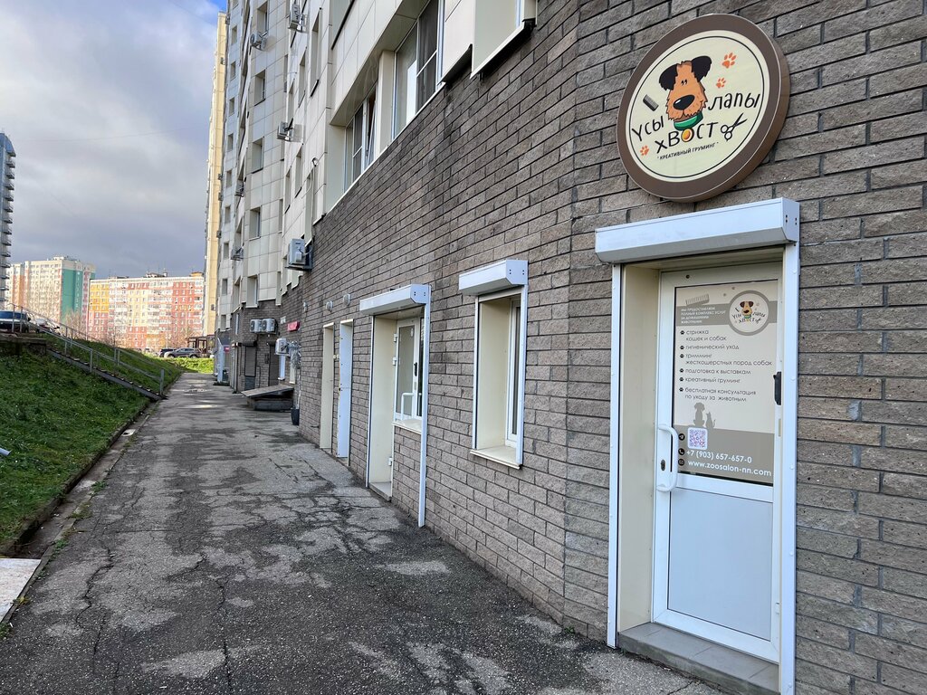 Evcil hayvan kuaförleri Zoosalon Usy Lapy Khvost, Nijni Novgorod, foto