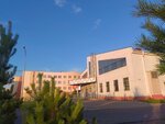 Swimming pool (vulica Kamsamoĺski Mikrarajon No:26), yüzme havuzları  Krichev'den