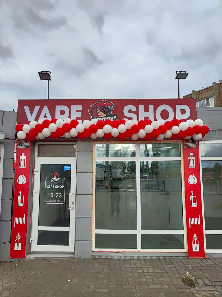 Elektronik sigara satış noktaları Cobra, Omsk, foto